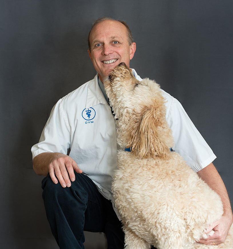 Our Doctors in Omaha, NE | American Animal Hospital