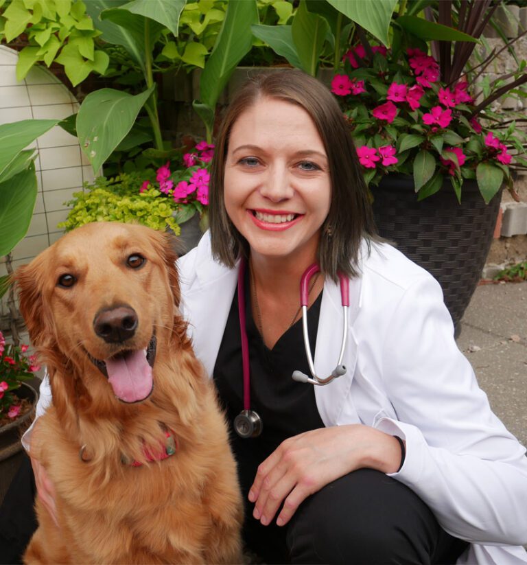 Animal Hospital & Veterinarian in Omaha, NE | American Animal Hospital