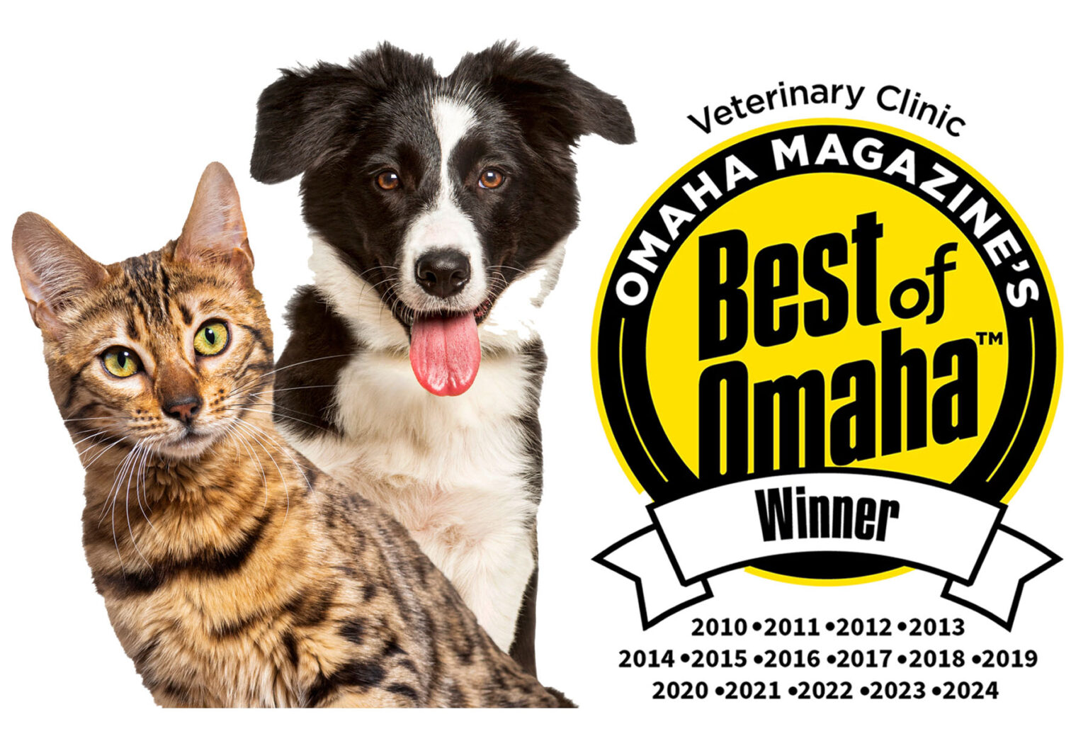 Animal Hospital & Veterinarian in Omaha, NE | American Animal Hospital